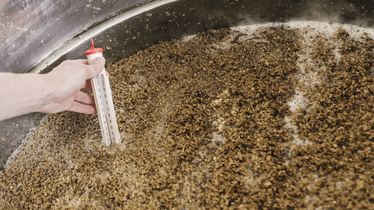 El arte de la maceración cervecera - MEGA Mundo Estrella Galicia